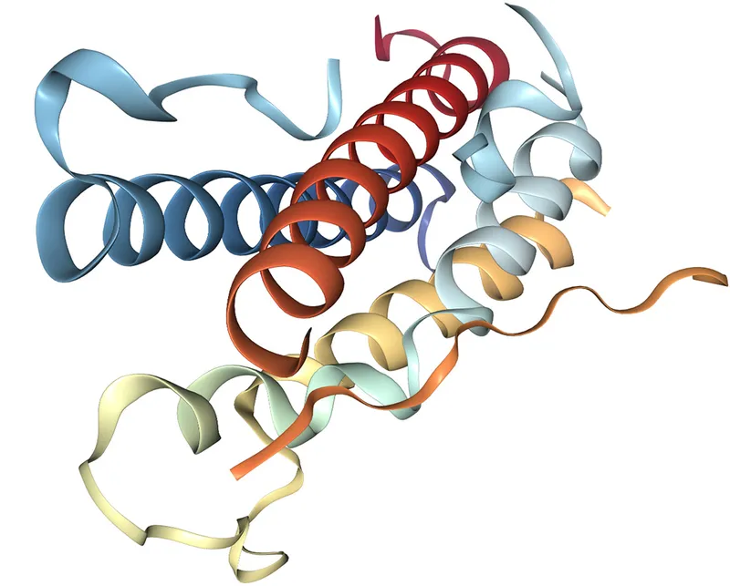 Hpl là gì? tìm hiểu về hormone hpl và phương pháp xét nghiệm hpl trong ...