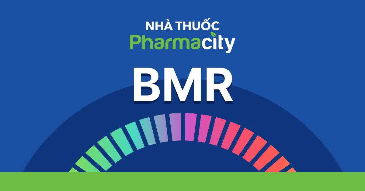 Chỉ Số BMR | Xác định lượng calo cần thiết cho cơ thể mỗi ngày