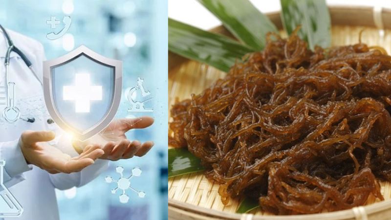 Fucoidan sulfate hóa cao và những tác dụng tích cực cho sức khỏe