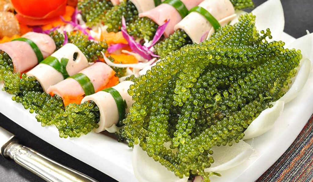 Rong nho: Công dụng, cách ăn và cách bảo quản rong nho tươi