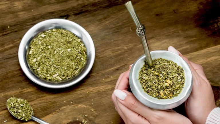 Trà mate là gì? Công dụng và hướng dẫn cách pha trà yerba mate
