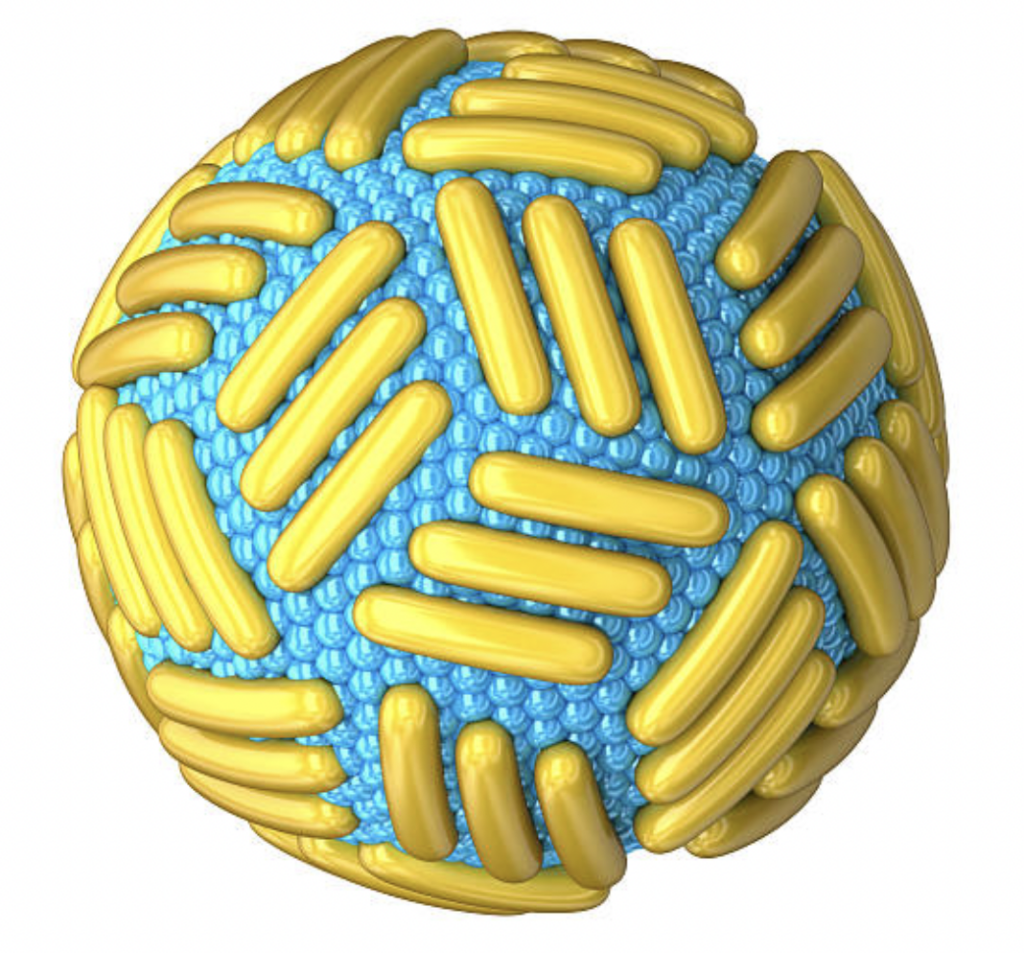 Bệnh do vi-rút Zika: Triệu chứng, nguyên nhân và điều trị