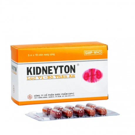 Viên nang Kidneyton OPC trị tinh huyết suy kém, đau lưng mỏi gối, hoa ...