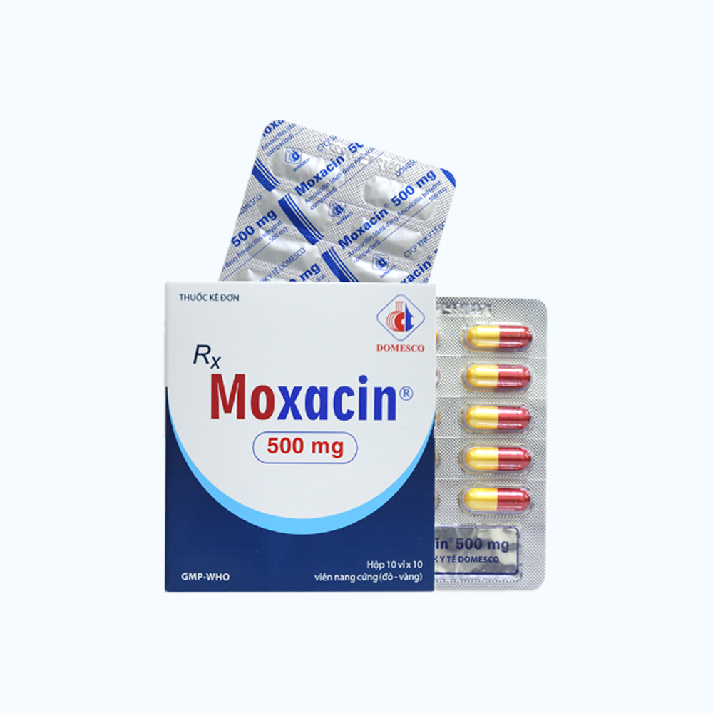 Viên nang Moxacin 500mg điều trị nhiễm khuẩn (10 vỉ x 10 viên)